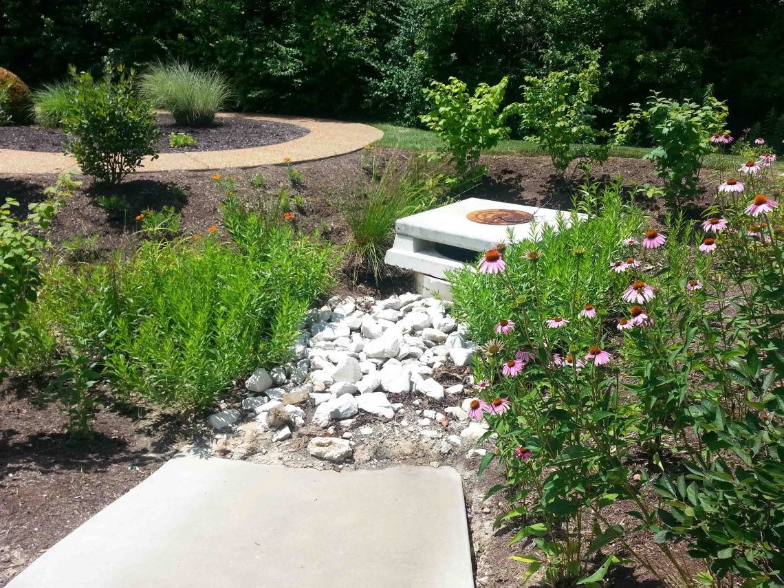 What is Bioretention? | Bluegrass Lawncare