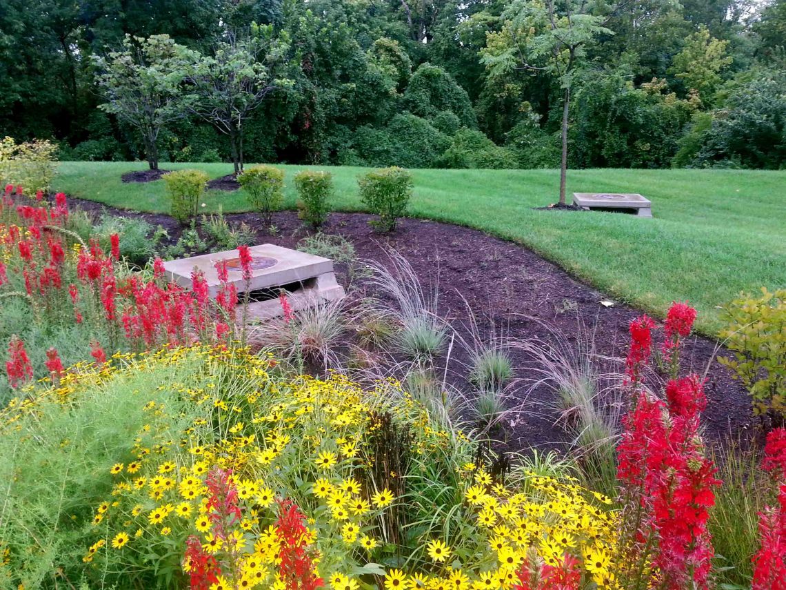 What is Bioretention? | Bluegrass Lawncare