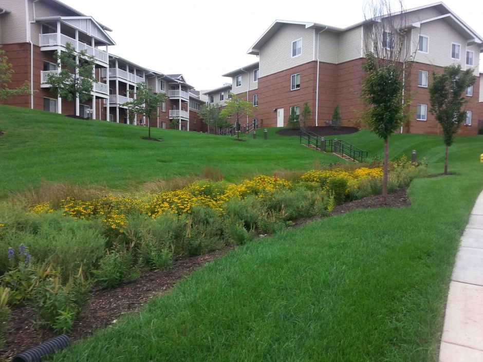 Safety Matters: How the Right Landscaping Plan Keeps Commercial Tenants ...