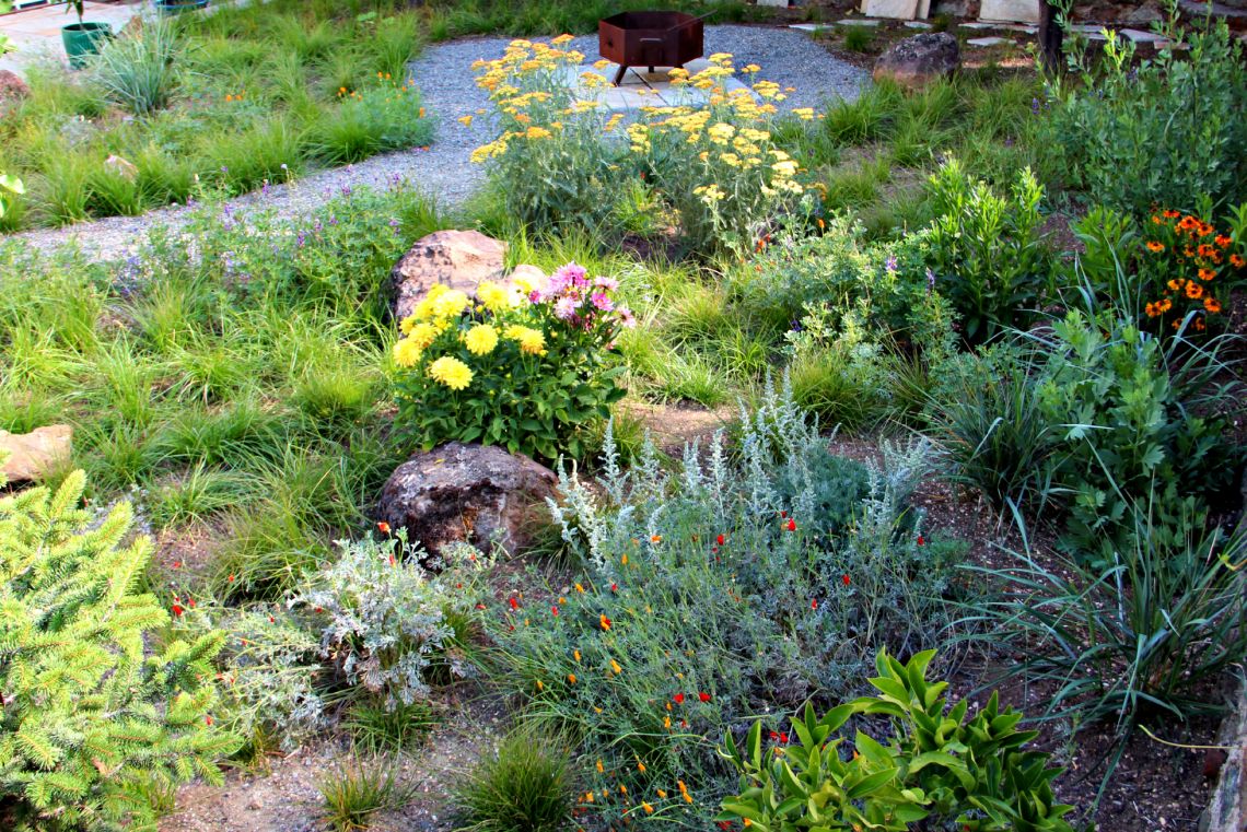 5 Benefits of Using Native Plants For A Sustainable Landscape ...
