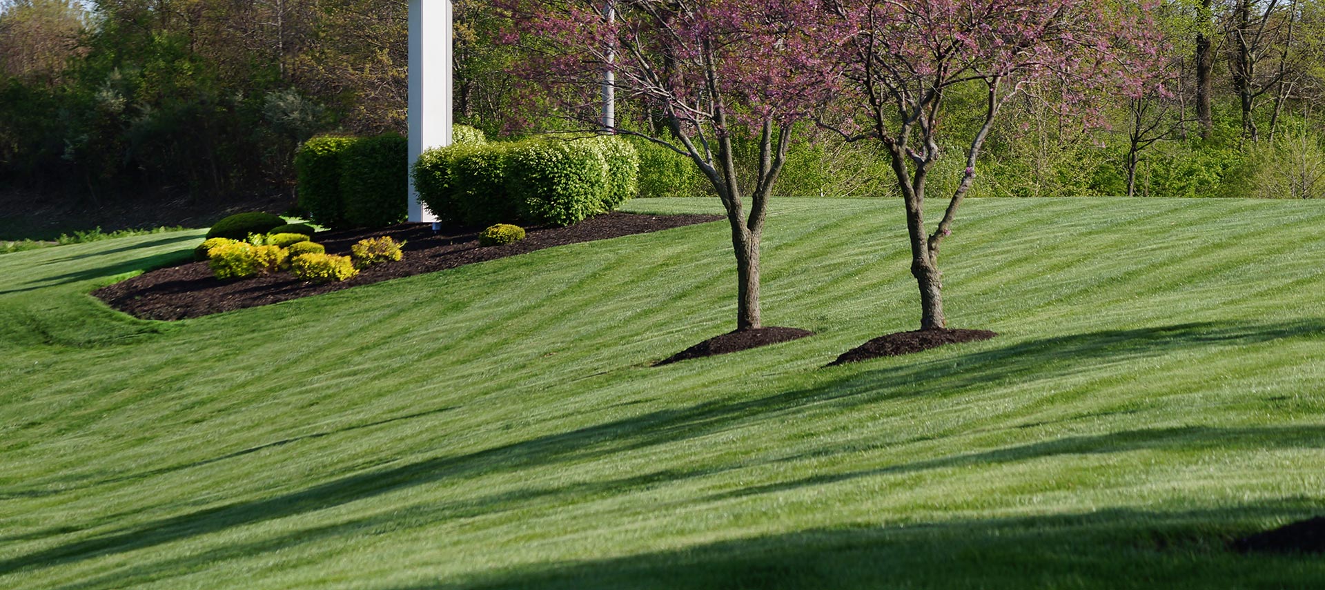 The Secret to a Beautiful Lawn | Bluegrass Lawncare