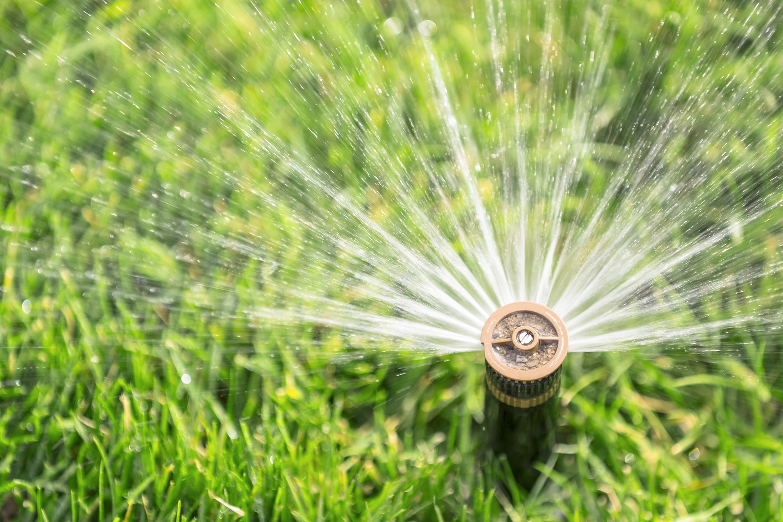 What You Should Know About Commercial Landscape Irrigation | Bluegrass ...